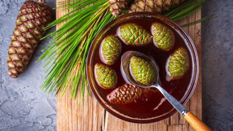 What Is Pine Cone Jam And What Does It Taste Like What Is Pine Cone Jam And What Does It Taste Like