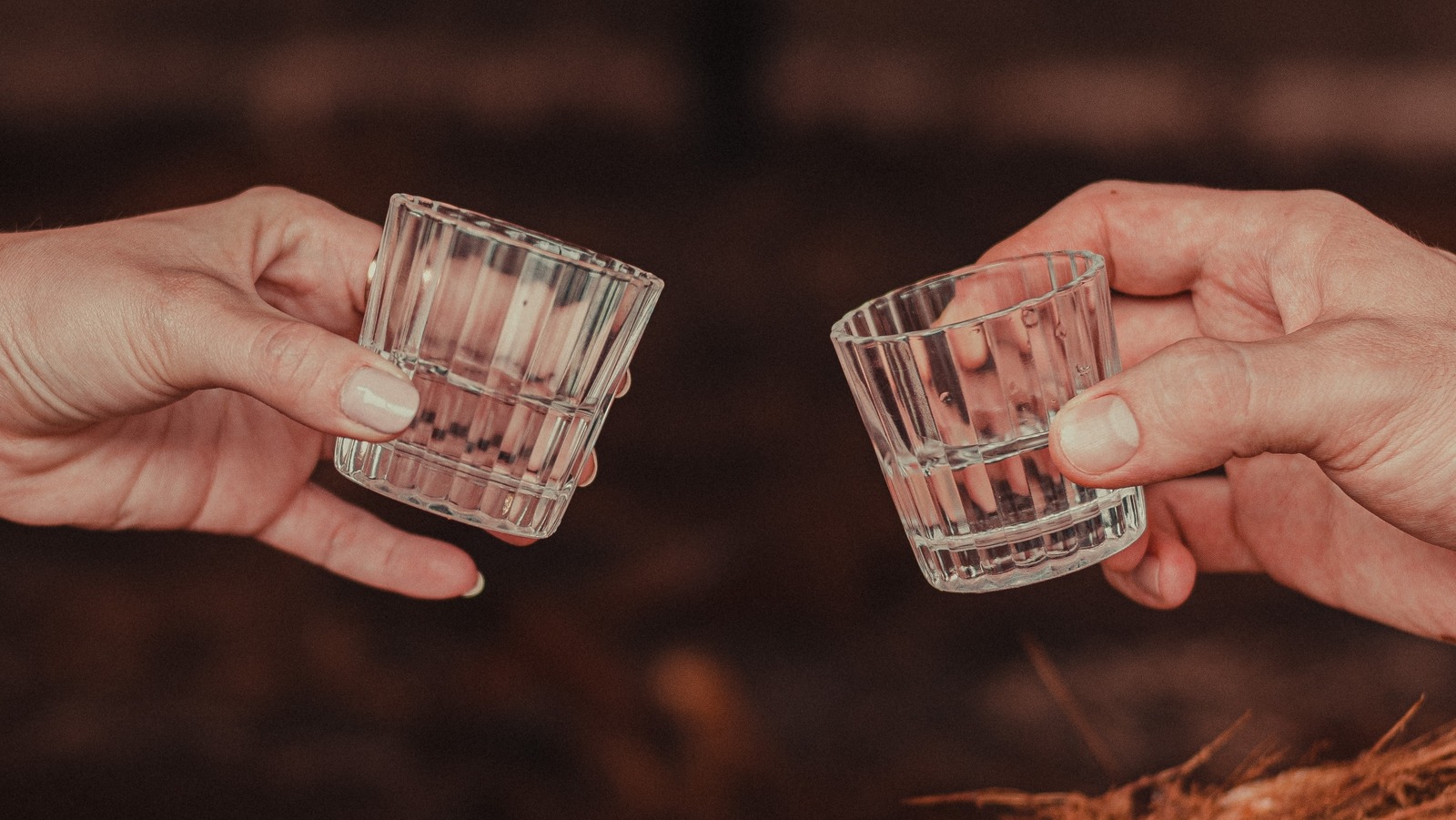 What Is Sotol And How Is It Similar To Tequila?