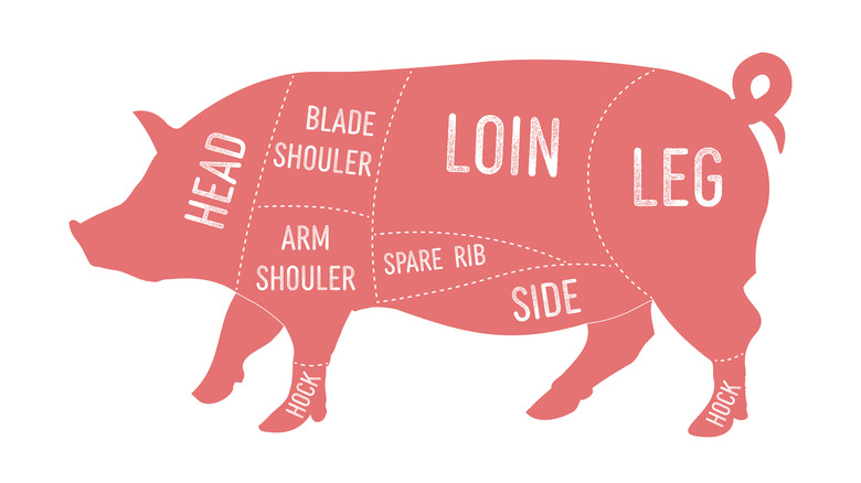 Pork Chop Diagram