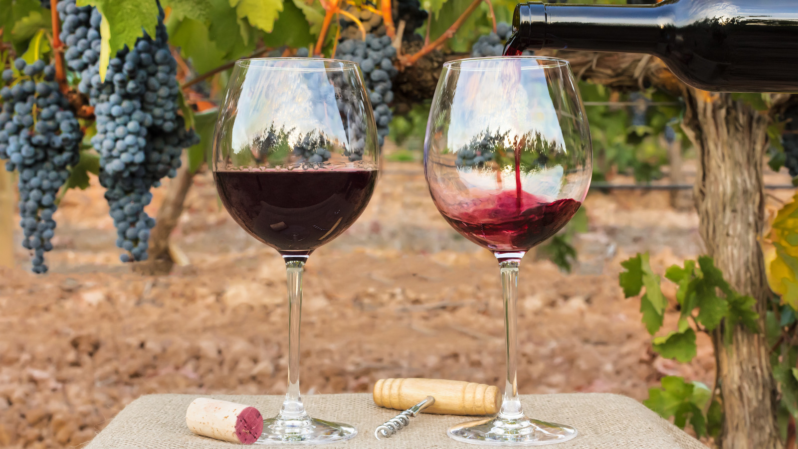 What's The Difference Between Organic And Biodynamic Wine?