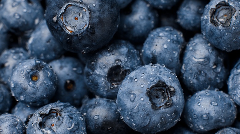 When To Wash Blueberries For The Best Texture Results