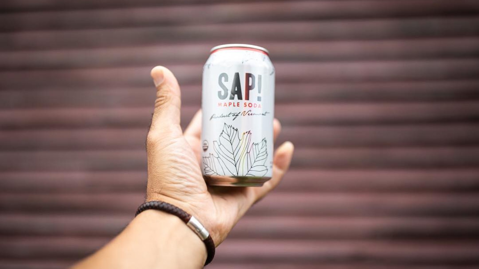 Where Is Sap! Maple From Shark Tank Today?