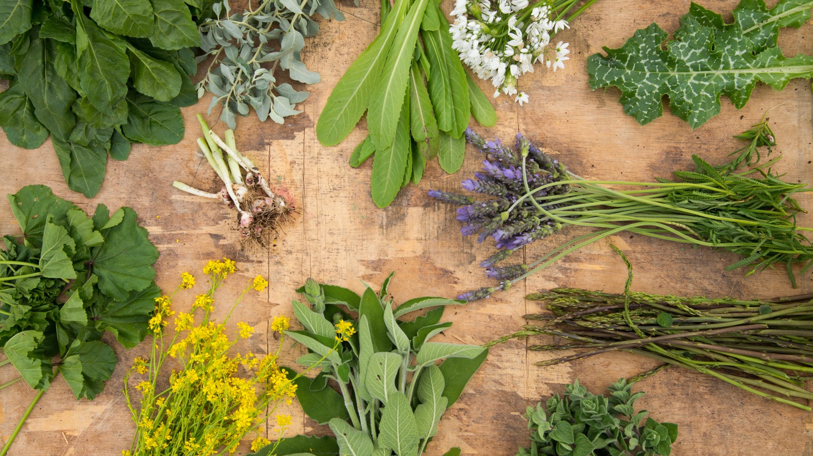 Why Cooking Wild And Domestic Greens Together Is A Match Made In Heaven