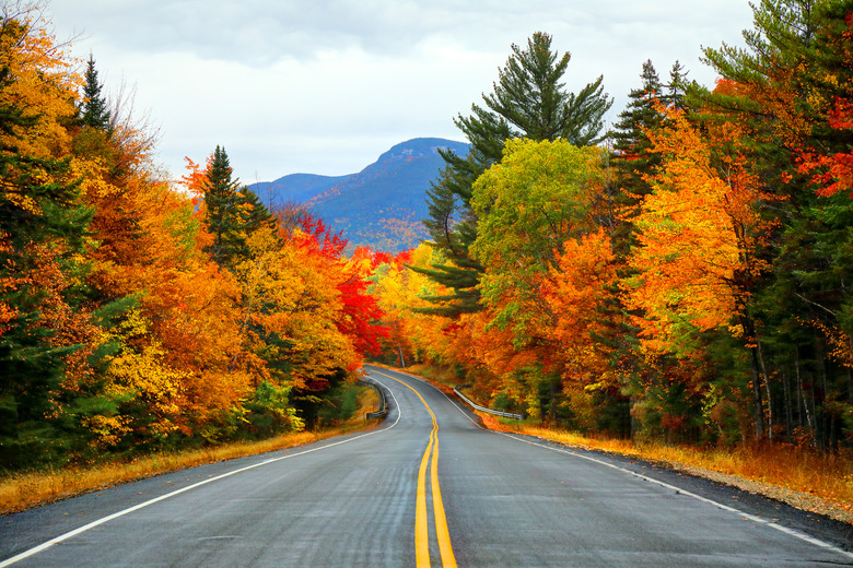 Why Fall Is The Only Worthwhile Season