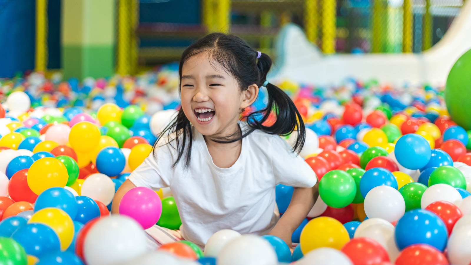 Mcdonalds Playground Ball Pit