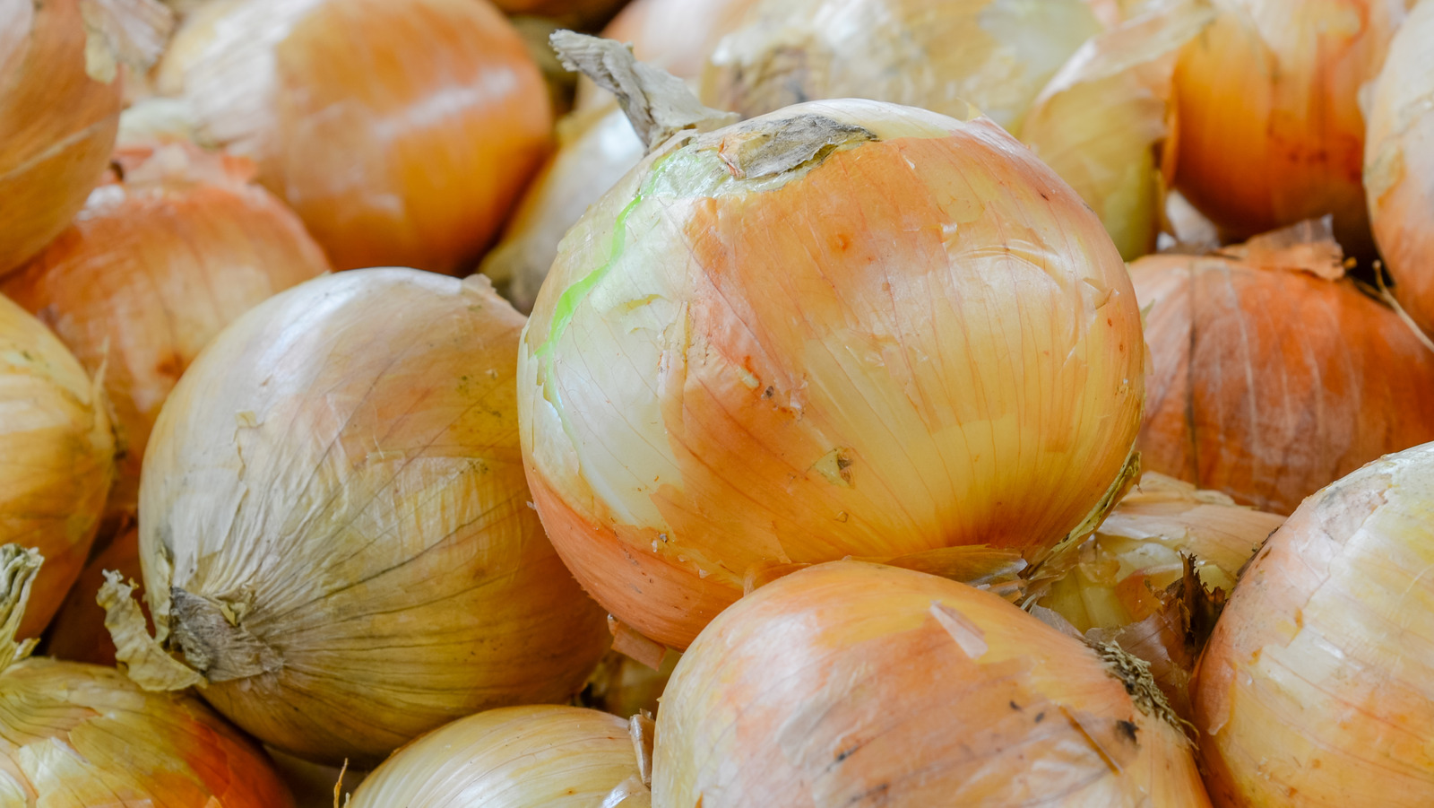 Why Vidalia Onions Were Once One Of The Most Coveted Vegetables