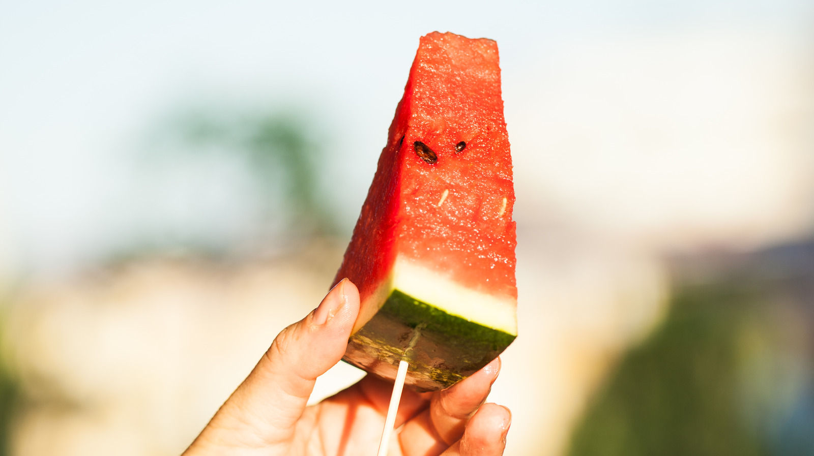 Wrap Watermelon Slices In Fruit Roll-Ups This Summer