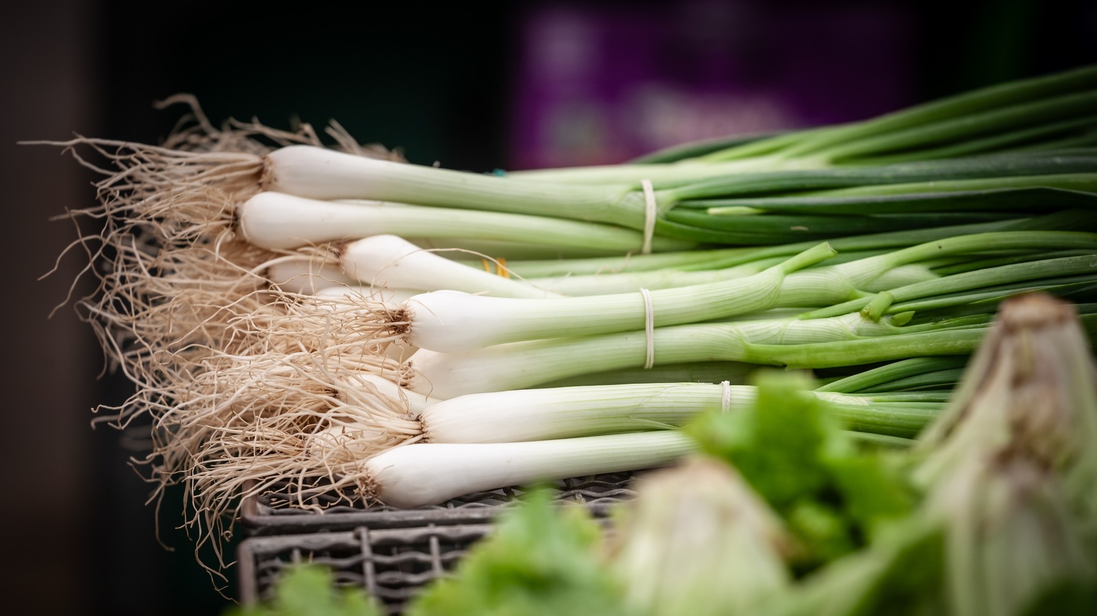 Spring Onion Vegetable