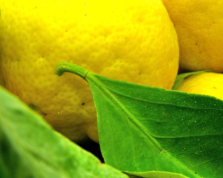 Lemon Squares Recipe by Nick Katsoris