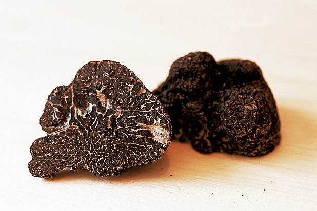 Fettuccine with Chardonnay Cream Sauce and Black Truffles Recipe by ...