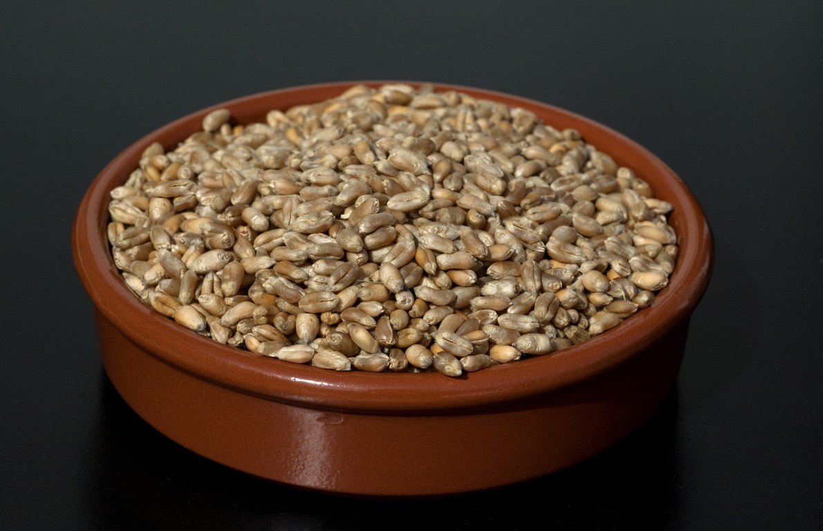 Triticale from 7 Incredibly Healthy Grains You Probably Didn’t Even ...