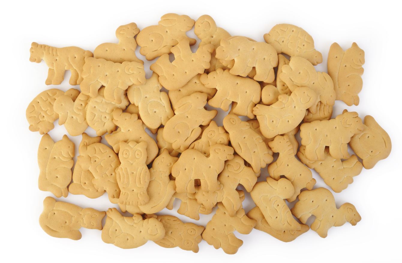 37 Different Animals Have Been Represented Over the Years from 10 ...