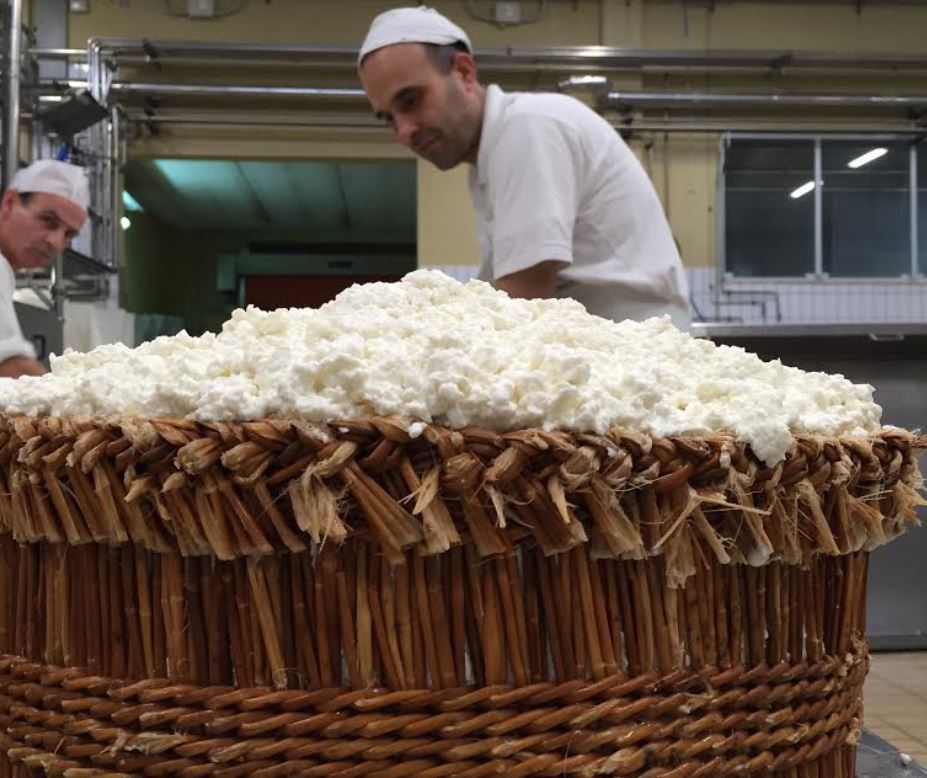 Hooked On Cheese: The True Taste Of Truffles