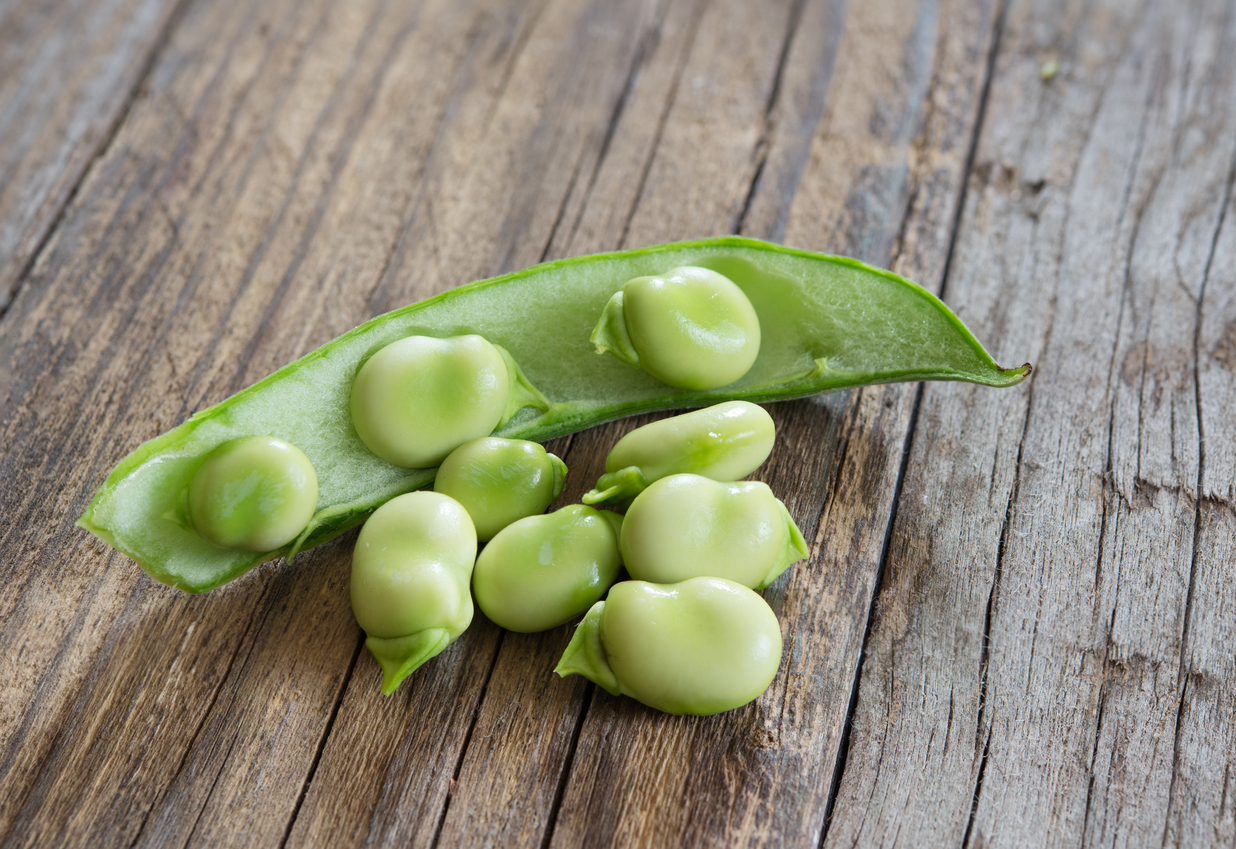 Fava Beans/Broad Beans from Here's Your Guide to Every Type of Bean and ...