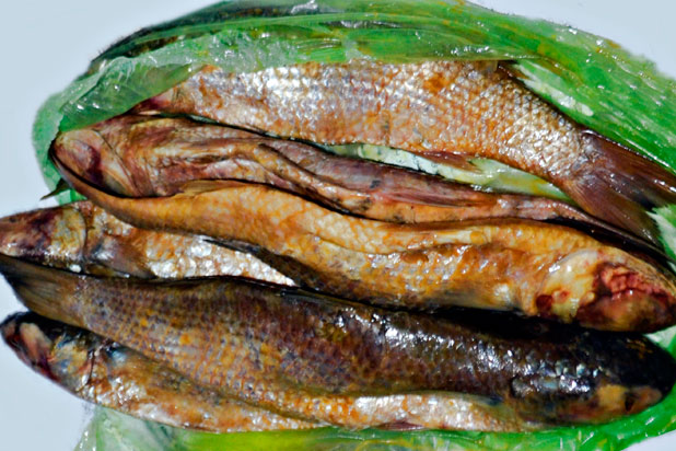 Fesikh from 10 Foods We Only Eat When They're Rotten (Slideshow) - The ...