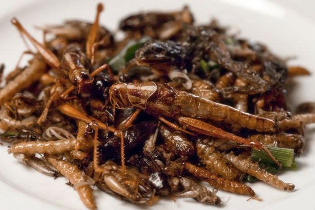 10 Delicious Creepy Crawly Snacks Around the World