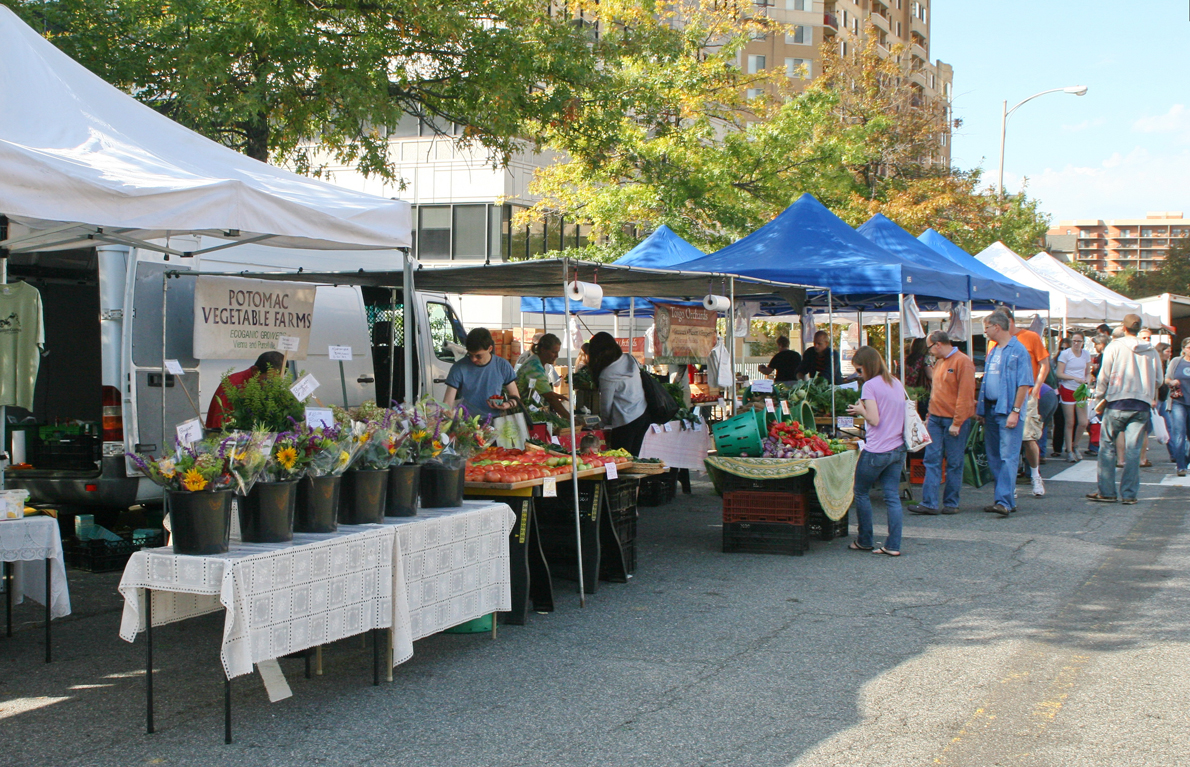 10 Reasons Why Locally Harvested Food Is the Best