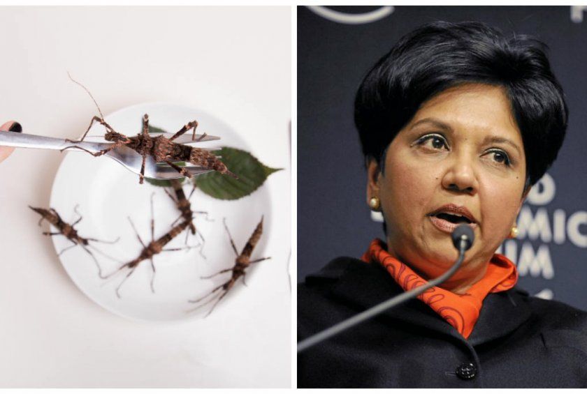 The Daily Dish: Pepsi CEO Says: 'Bugs Are The Food Of The Future'