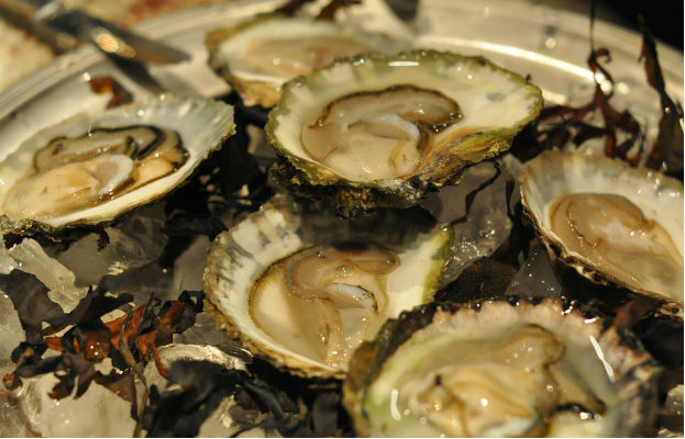 Put Down Your Camera! These Are the Ugliest Foods on Earth