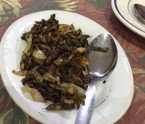 Anybody here knows what is this